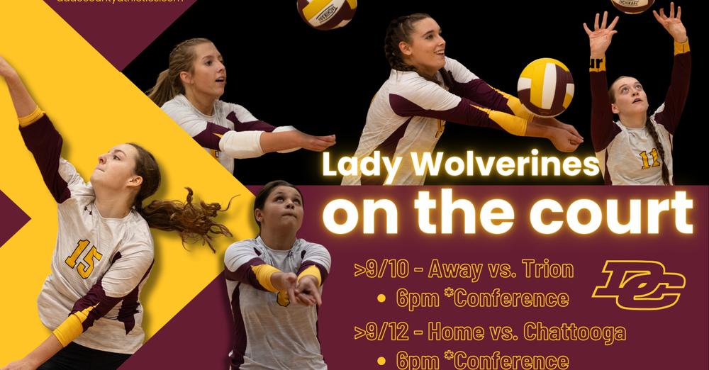 Lady Wolverines Volleyball This Week – Discover Dade