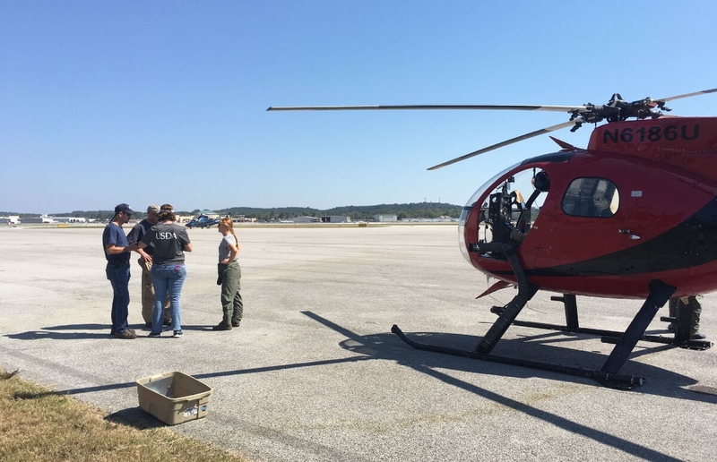 Oral Rabies Vaccination Bait Drops Begin In Dade County April 7th ...