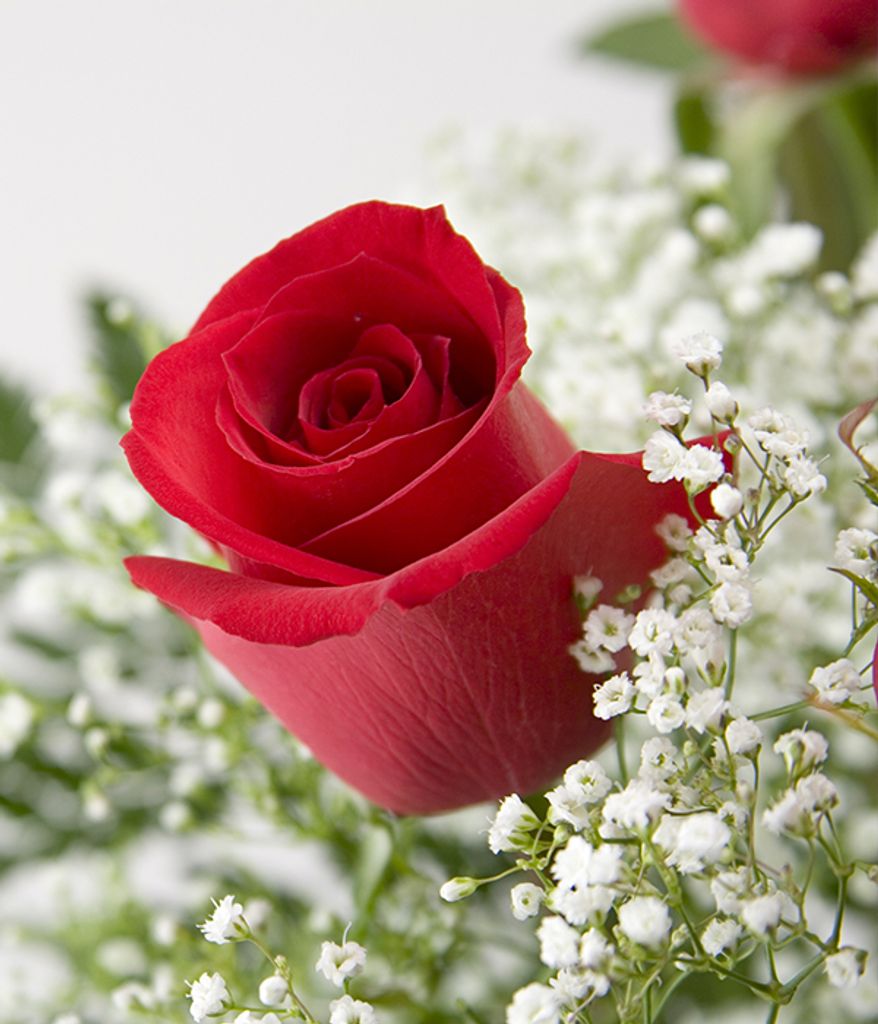 Regina Mathews – Discover Dade